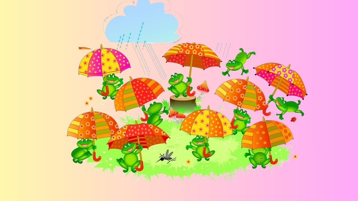 Can you spot the two identical umbrellas in this optical illusion?