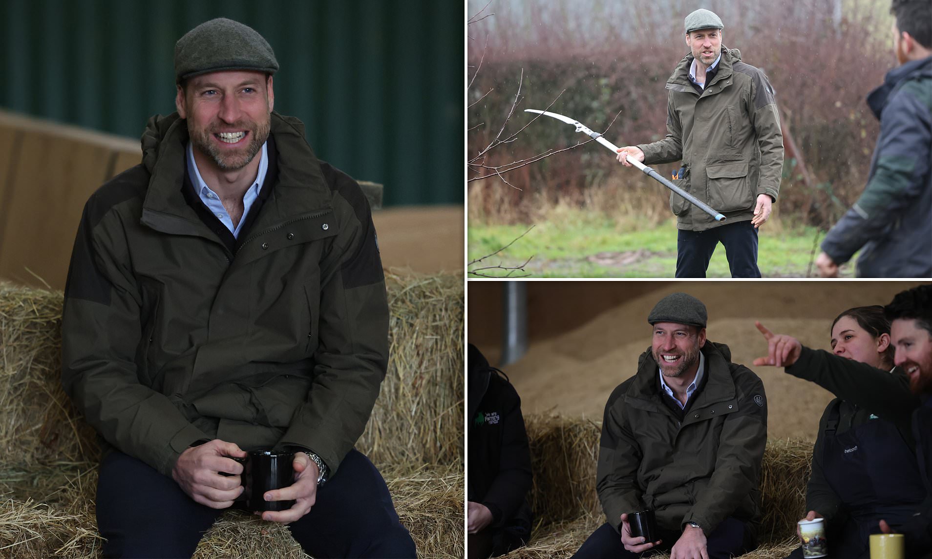 Prince William mucks in: Royal goes rural as he helps out on the farm