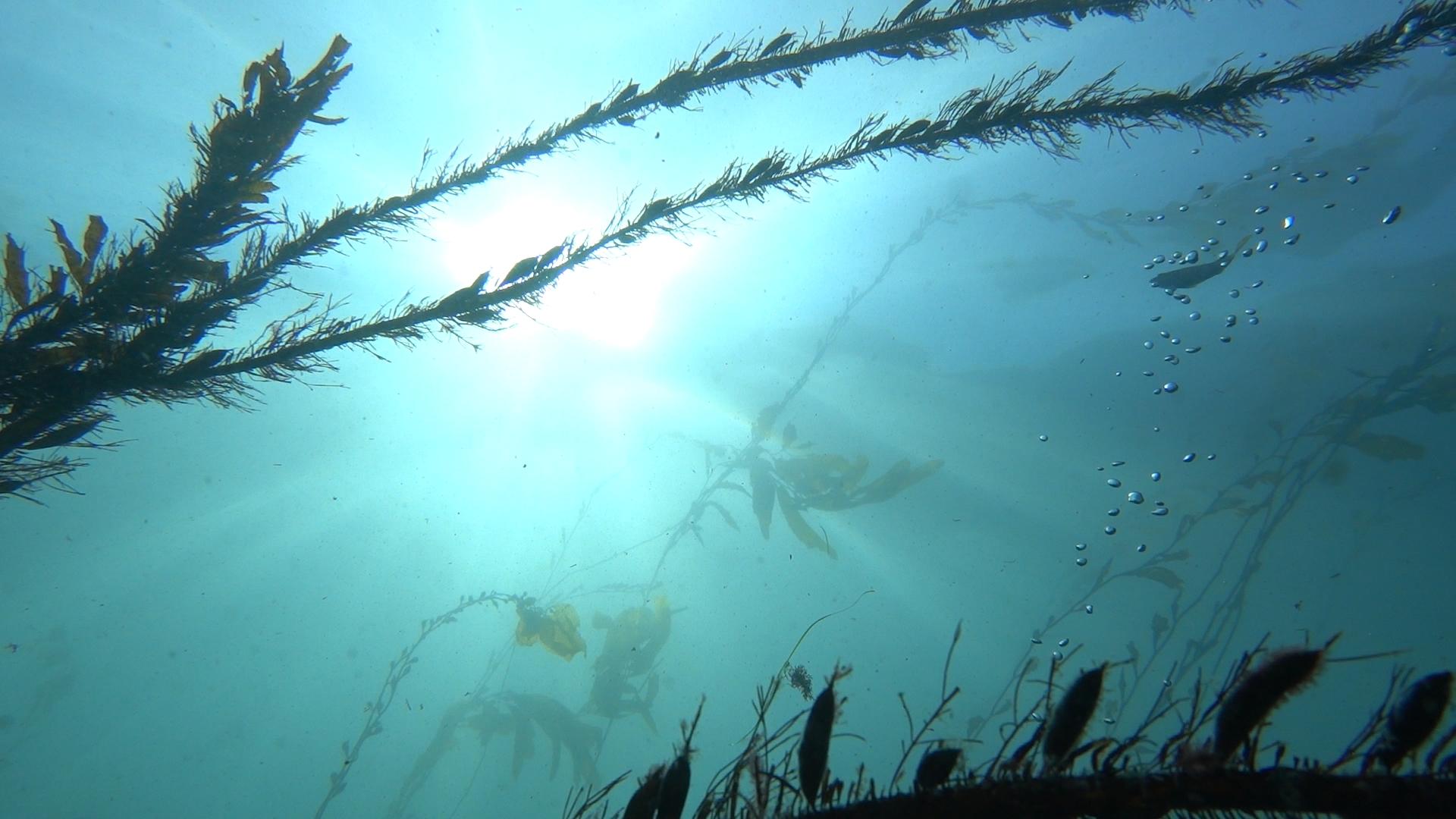 Climate change is fueling a desalination boom. Can new technology make ...