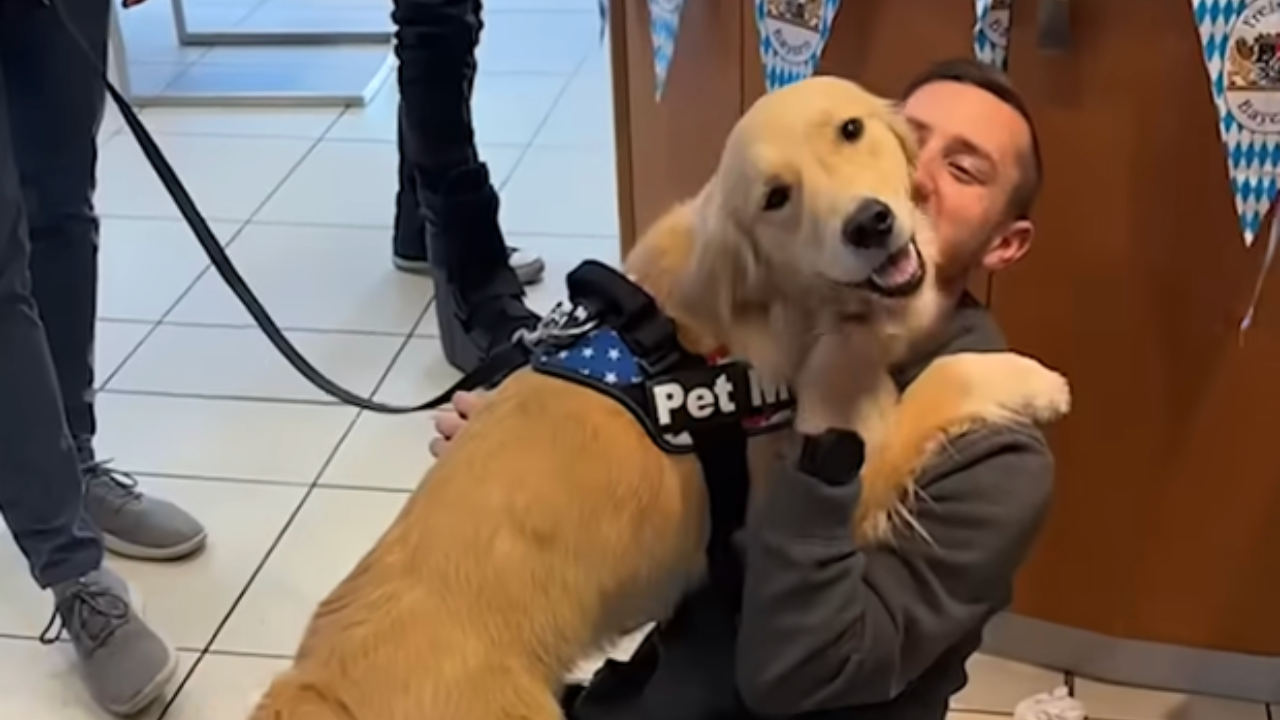 Therapy dogs surprise Army soldiers