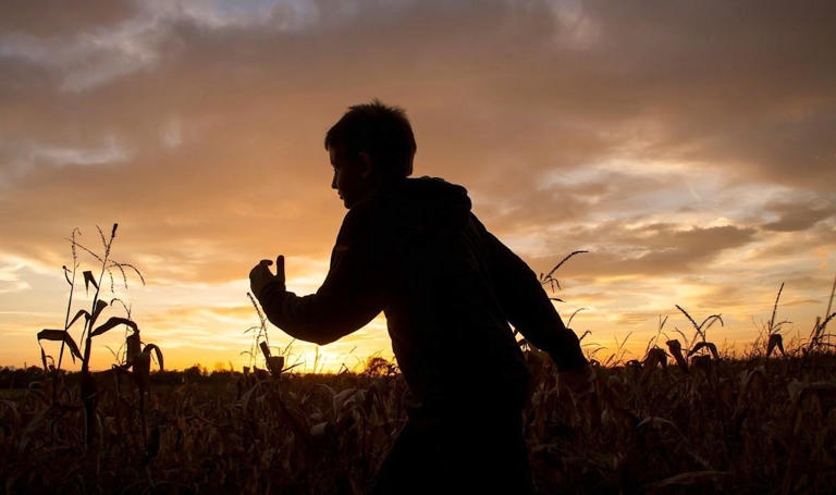 Un enfant de 12 ans soupçonné dans un projet d'attaque jihadiste