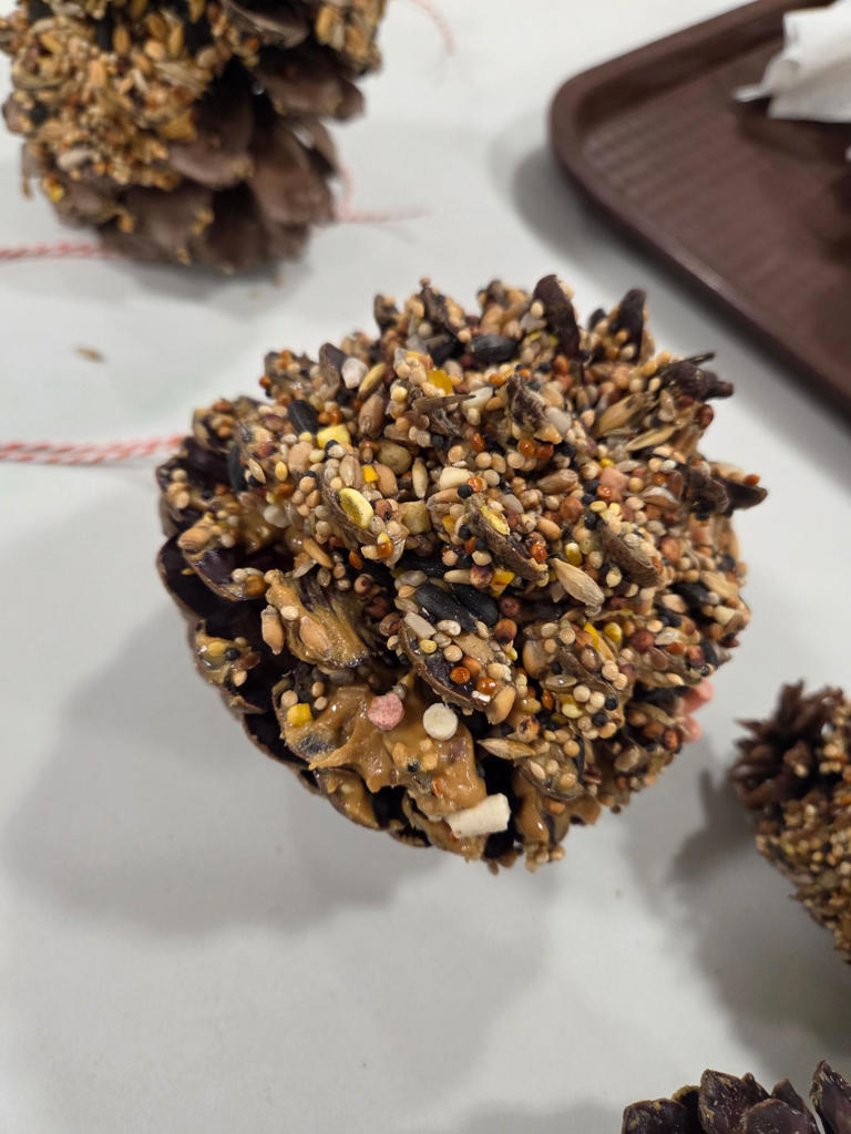 Residents at Polegate care home prepare for RSPB Big Garden Birdwatch