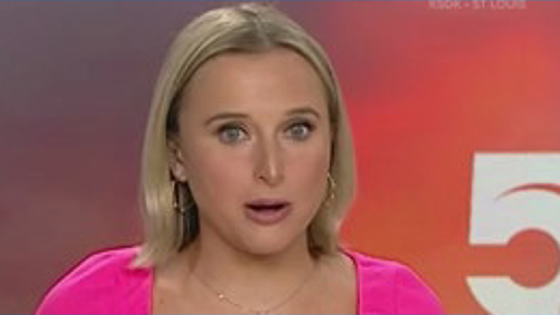 ICE agent shoots man in Minneapolis