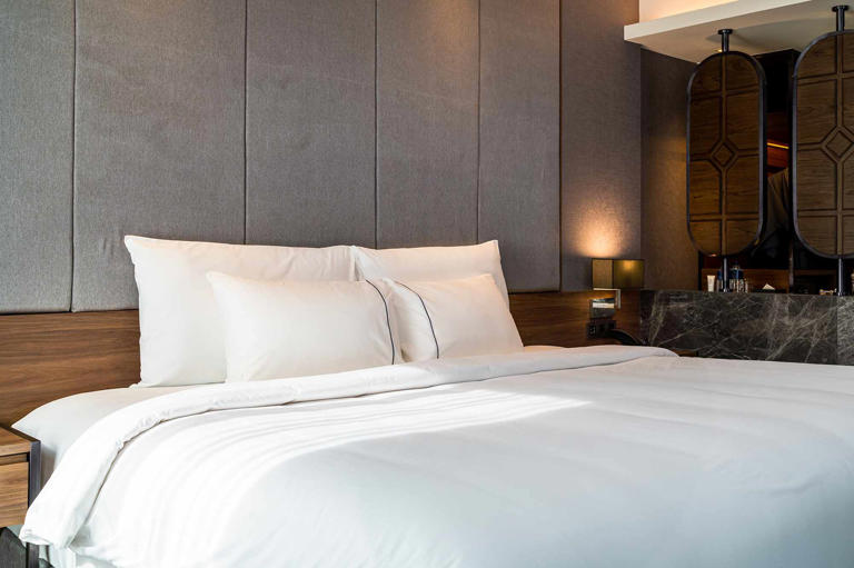 This public database tracks bed bug activity in hotels across the US ...