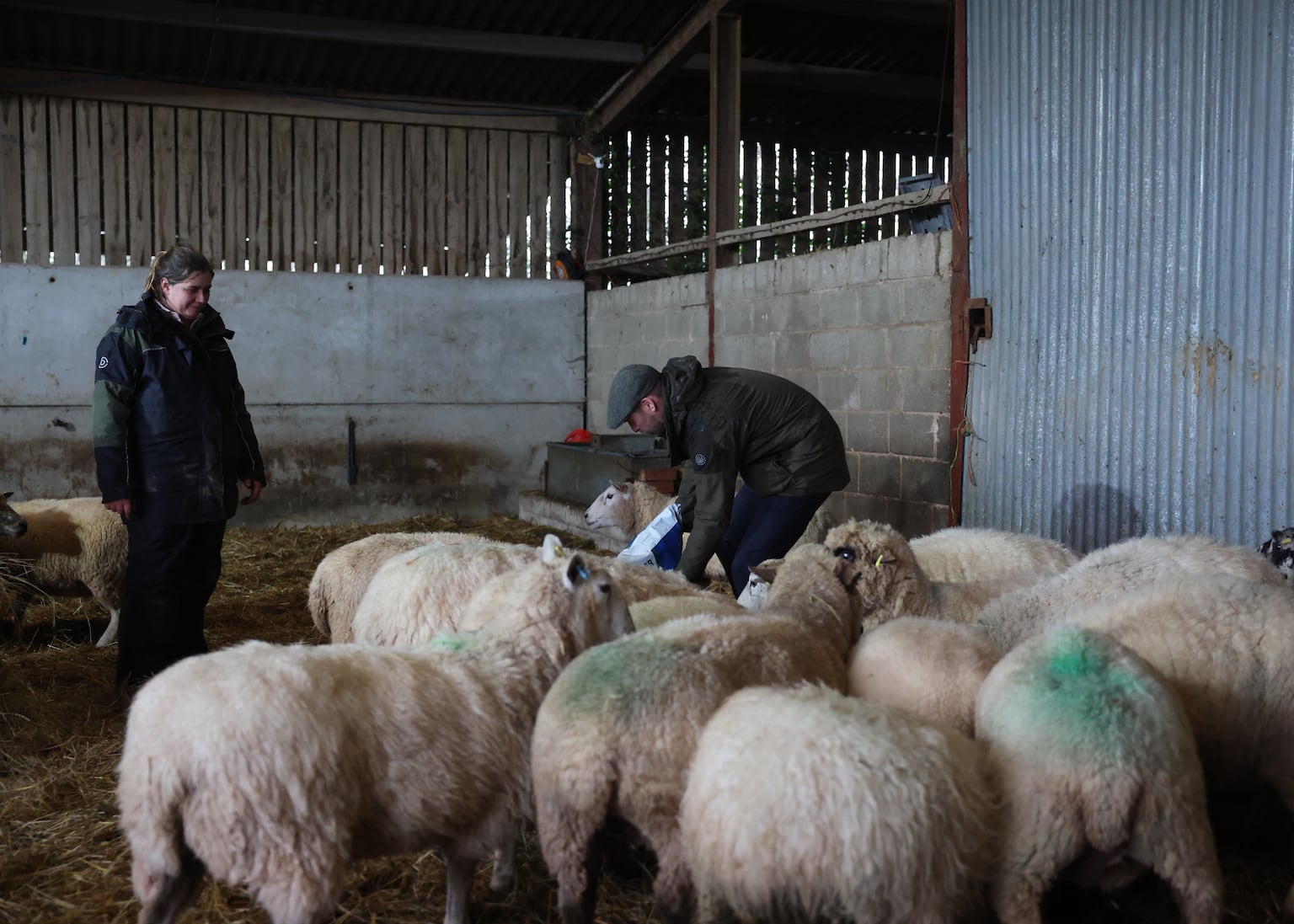 Prince of Wales branches out into tree-pruning on visit to family farm