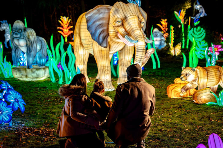 Twycross Zoo offers Universal Credit evenings for ‘Lanterns of the Wild’