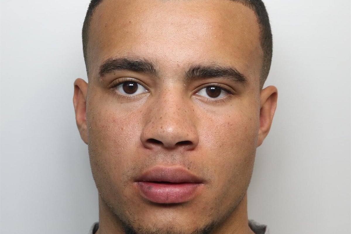 TikToker will not repay full private jet costs for extradition to UK