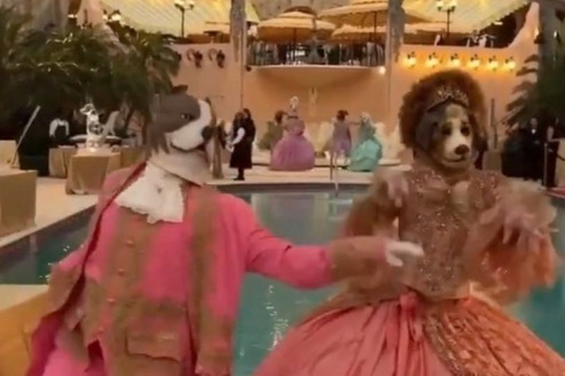 Gavin Newsom shares eerie photos of 'furry party' at Trump's Mar-a-Lago