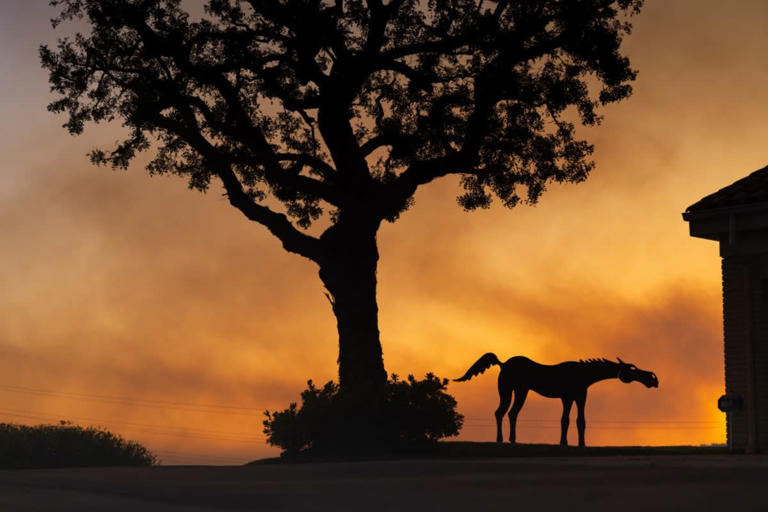 A year after the 2025 wildfires, researchers warn LA is facing a ...