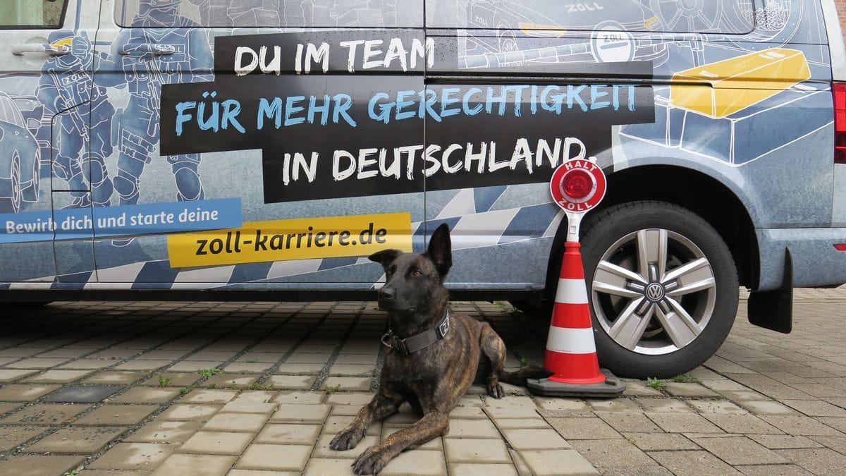 Kira macht Karriere: Zoll freut sich über vierbeinige Mitarbeiterin