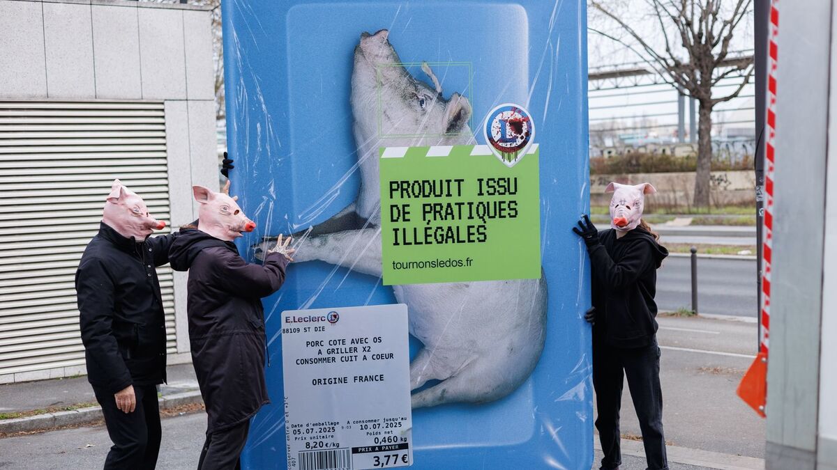 « Pratiques cruelles » : l’association L214 dépose une barquette de ...