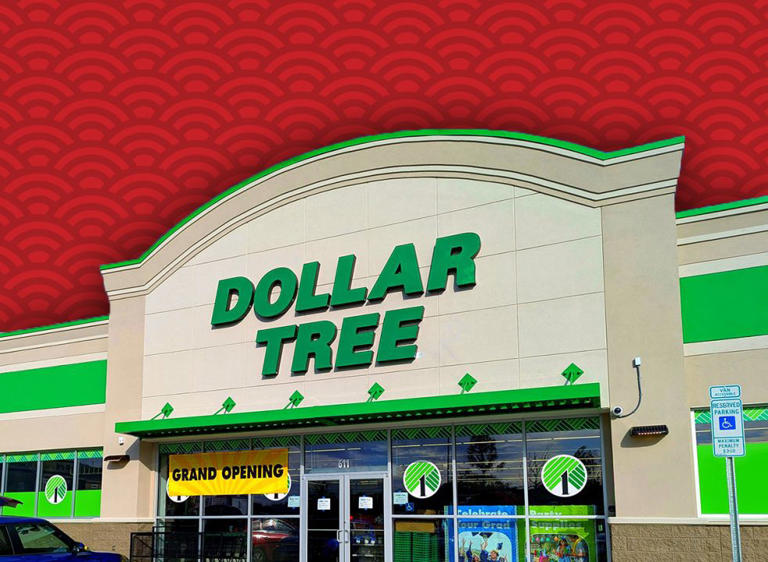 7 Dollar Tree new arrivals that feel way more expensive