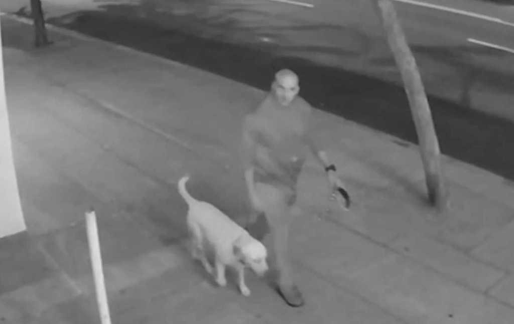 Man caught on CCTV throwing dog poo at LGBTQ+ centre – but police won’t ...