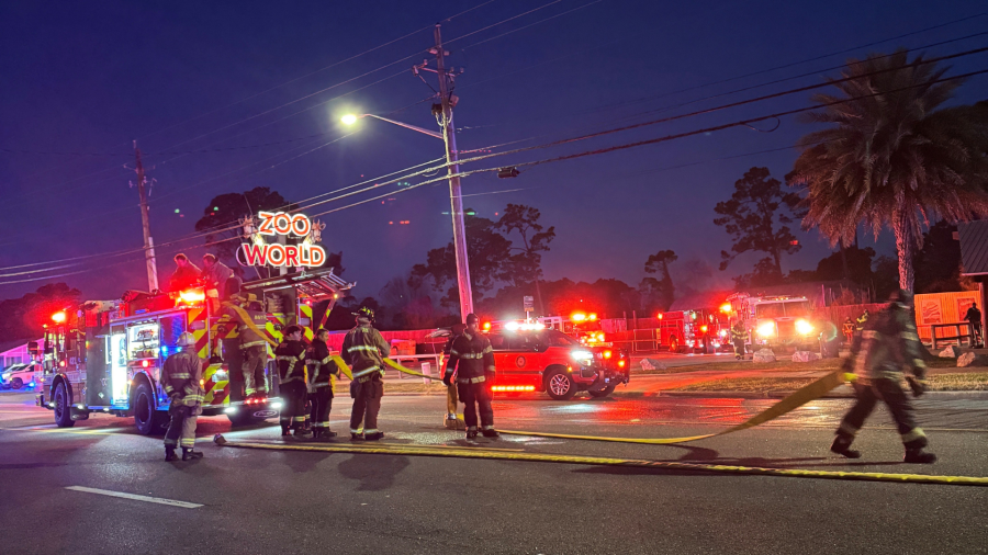 Six lemurs die in ZooWorld fire; officials say human error ruled out