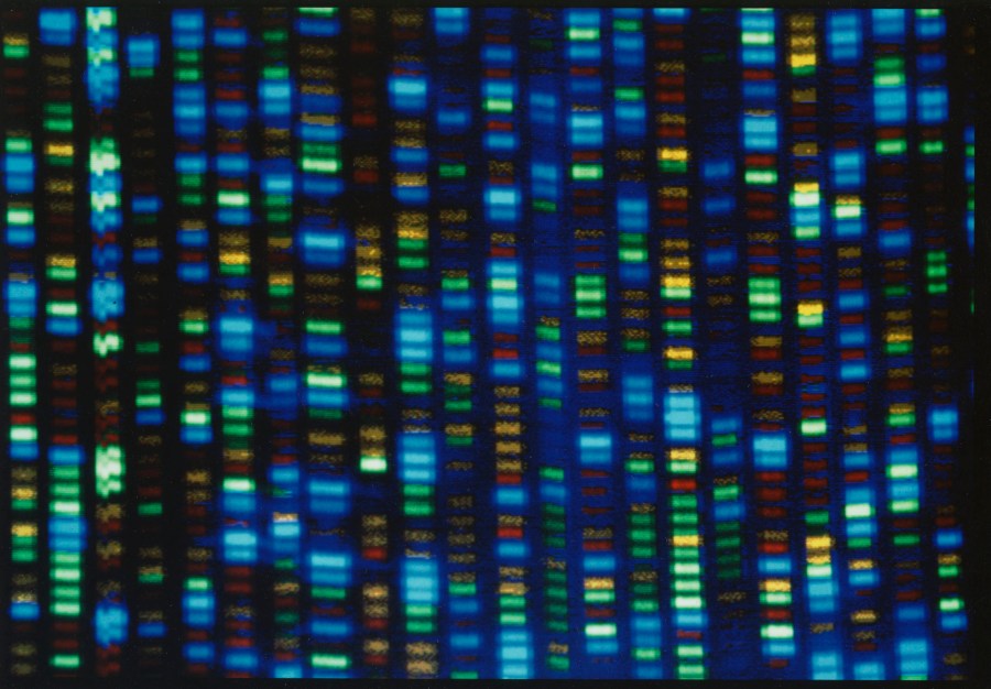 Ask the Expert: Genetics counseling