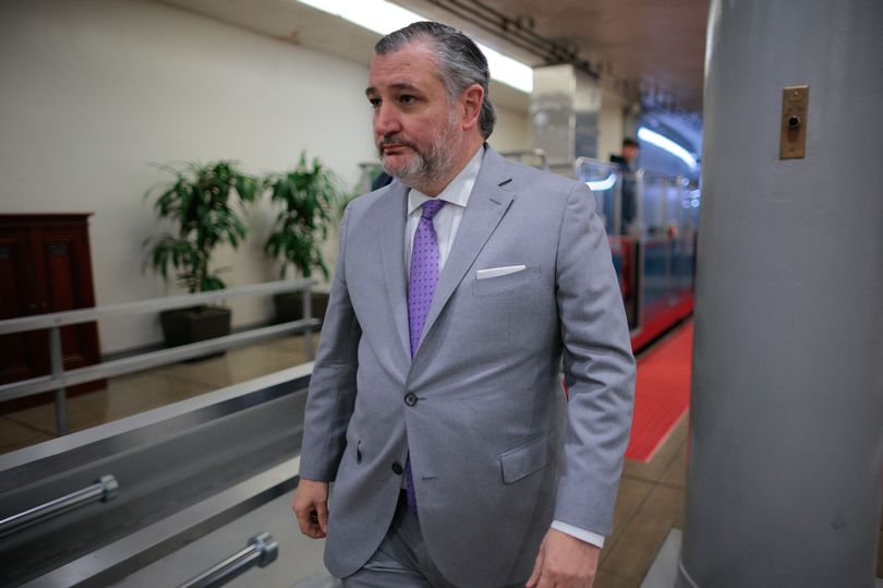 Ted Cruz issued chilling Trump Greenland warning 10 years ago