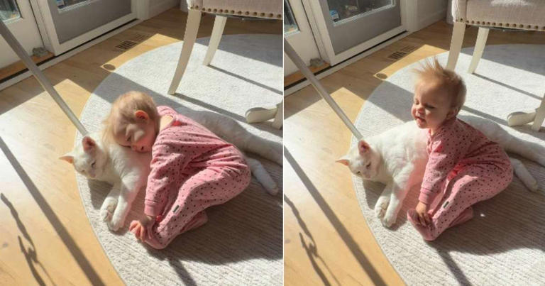 Little girl showers cat with intense love in heartwarming video