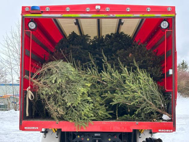 Premiere in Penzberg: Feuerwehr sammelt 300 Christbäume ein - Erlös ist ...