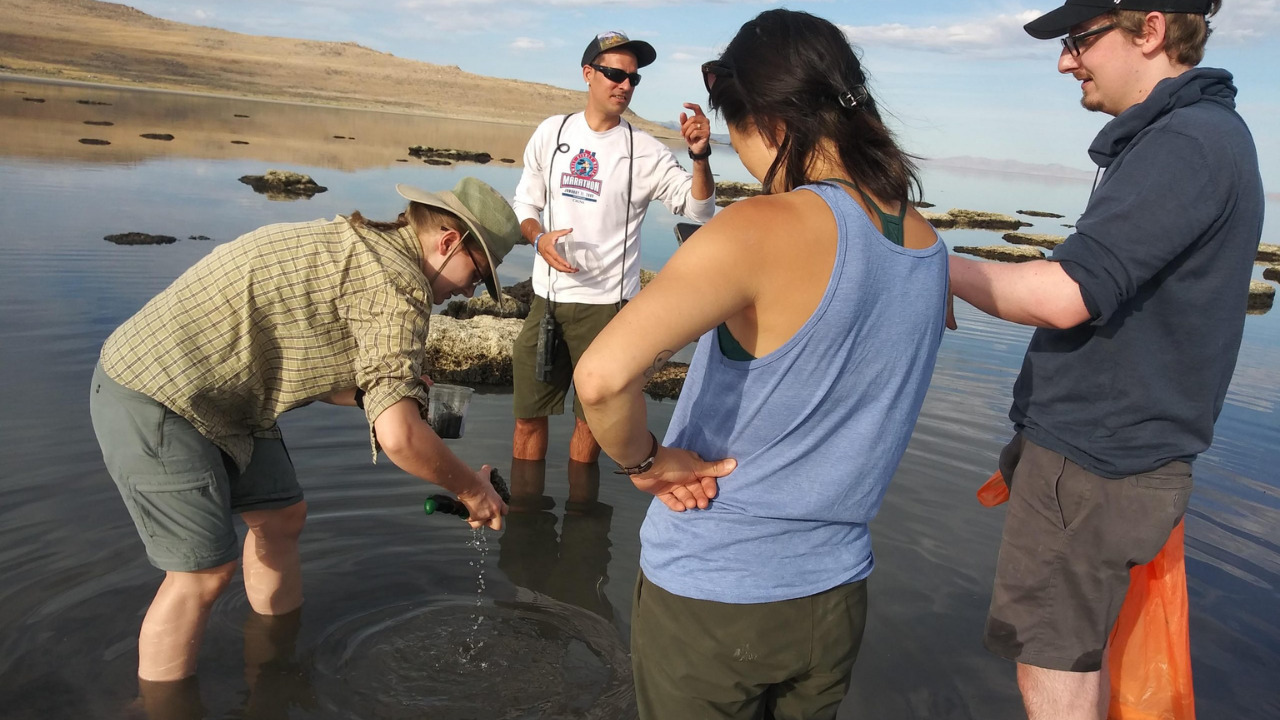 Scientists discover unknown animal at the bottom of Utah’s Great Salt ...