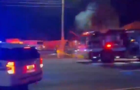 Some ZooWorld animals did not survive morning fire, BCSO confirms