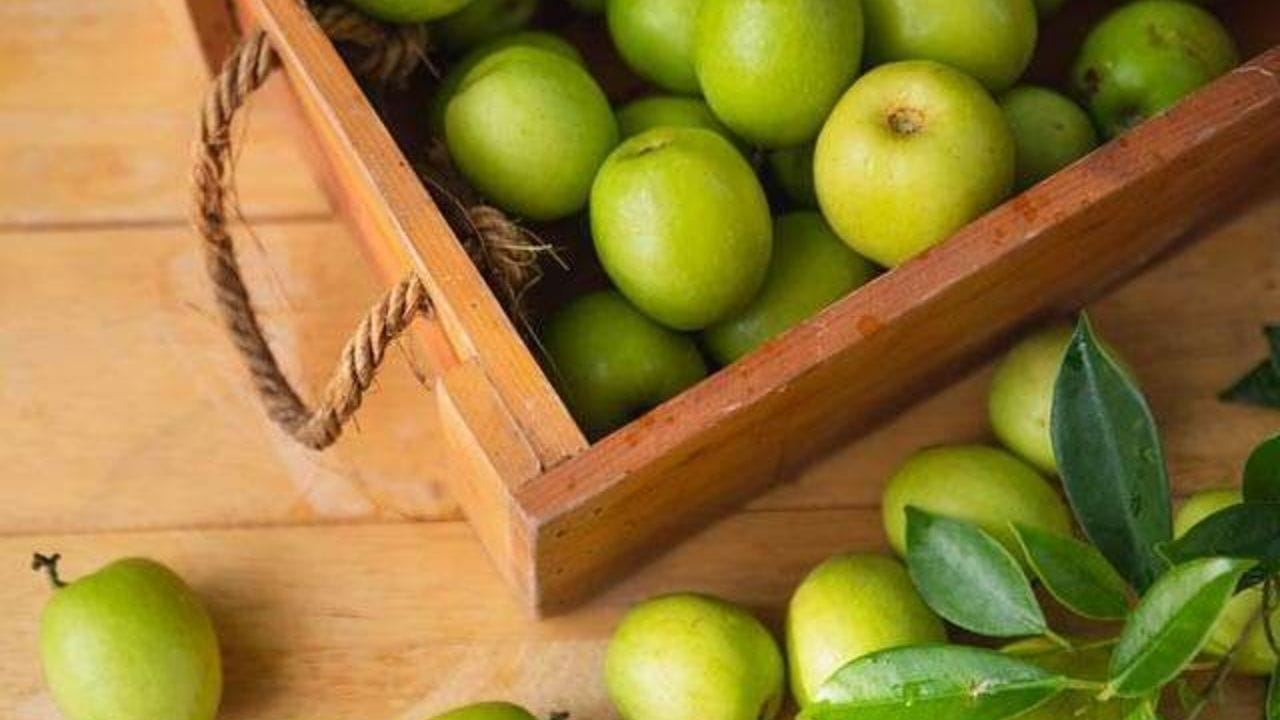 Sankranti special fruit: Why Indian jujube deserves attention during ...