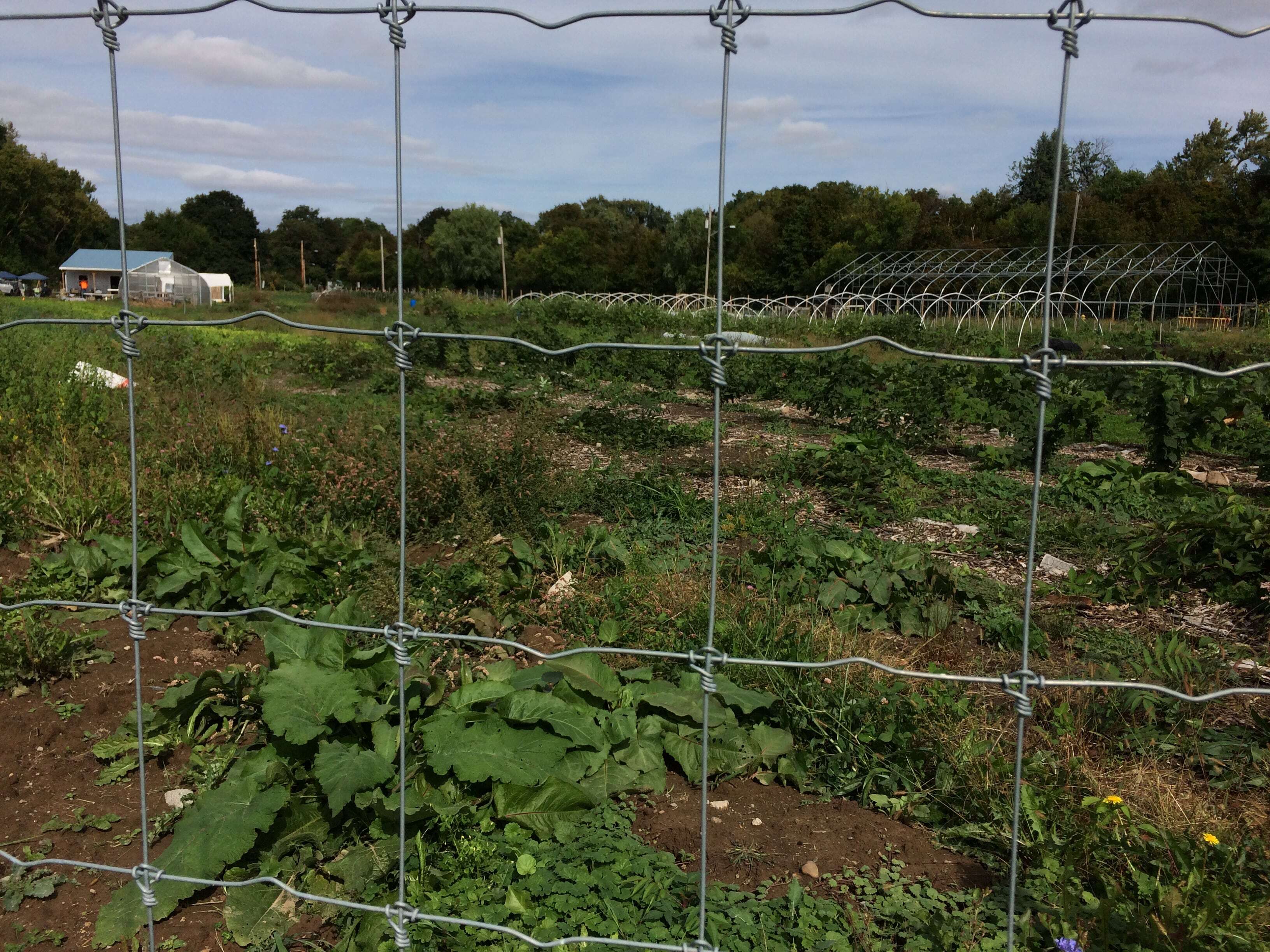 SOFSA’s Maura Ackerman on leadership: Take the sabbatical. No one 'is ...