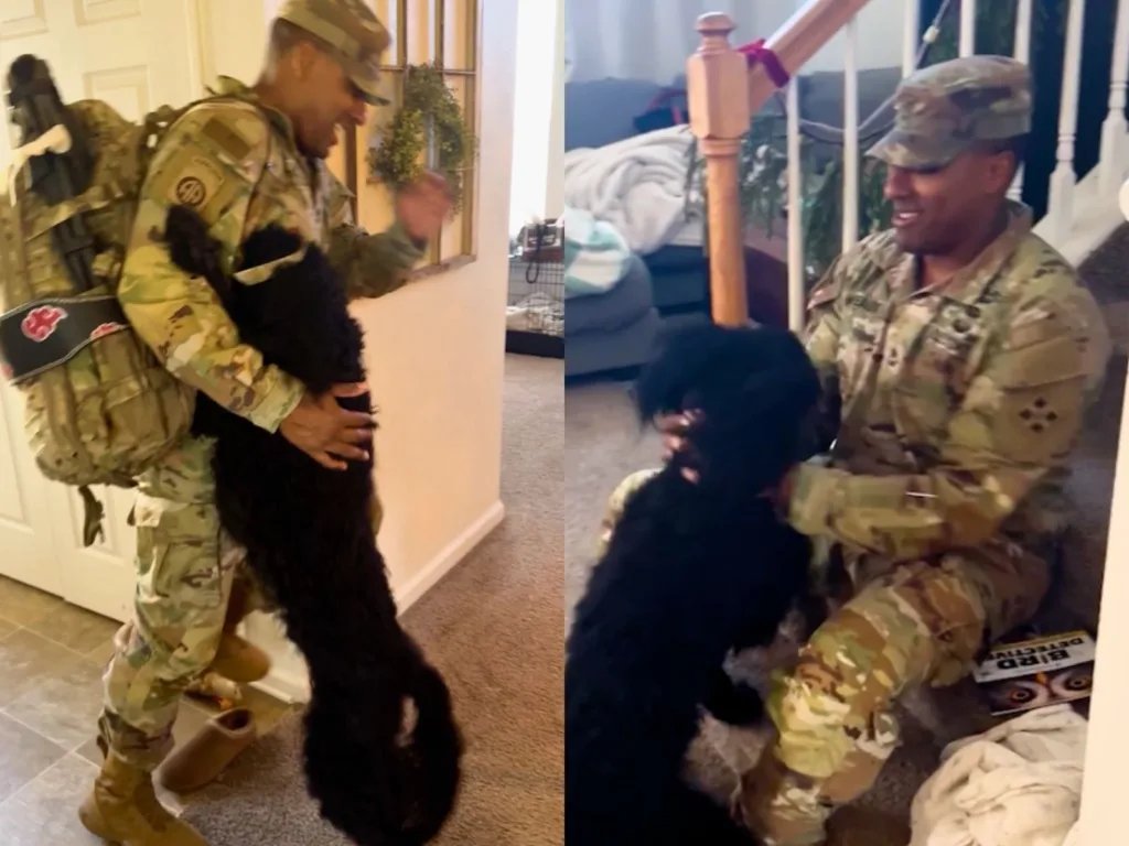 He missed his family on deployment, but his dog had the wildest welcome ...