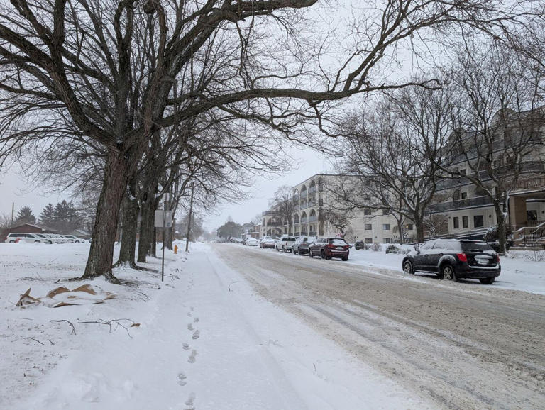 Towns of Essex, Tecumseh declare significant weather events as snow ...