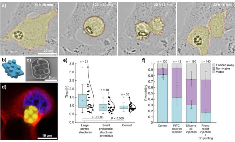 Scientists are building tiny machines inside the cells