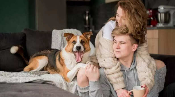 Why pets become clingy after illness or surgery