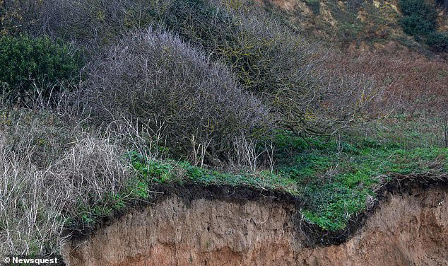 Council ridiculed for public byway which leads to impassable thicket ...
