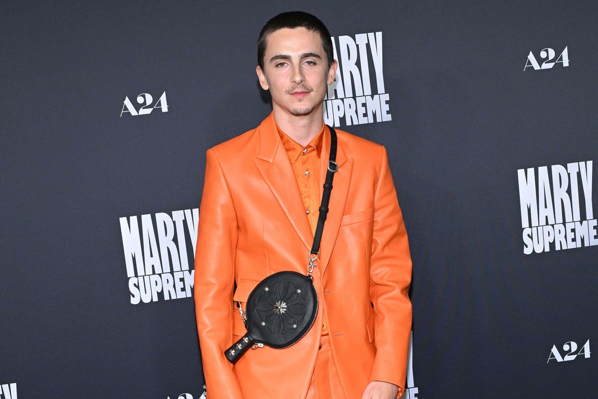 Timothée Chalamet’s Marty Supreme tipped for Oscars glory: What are the ...
