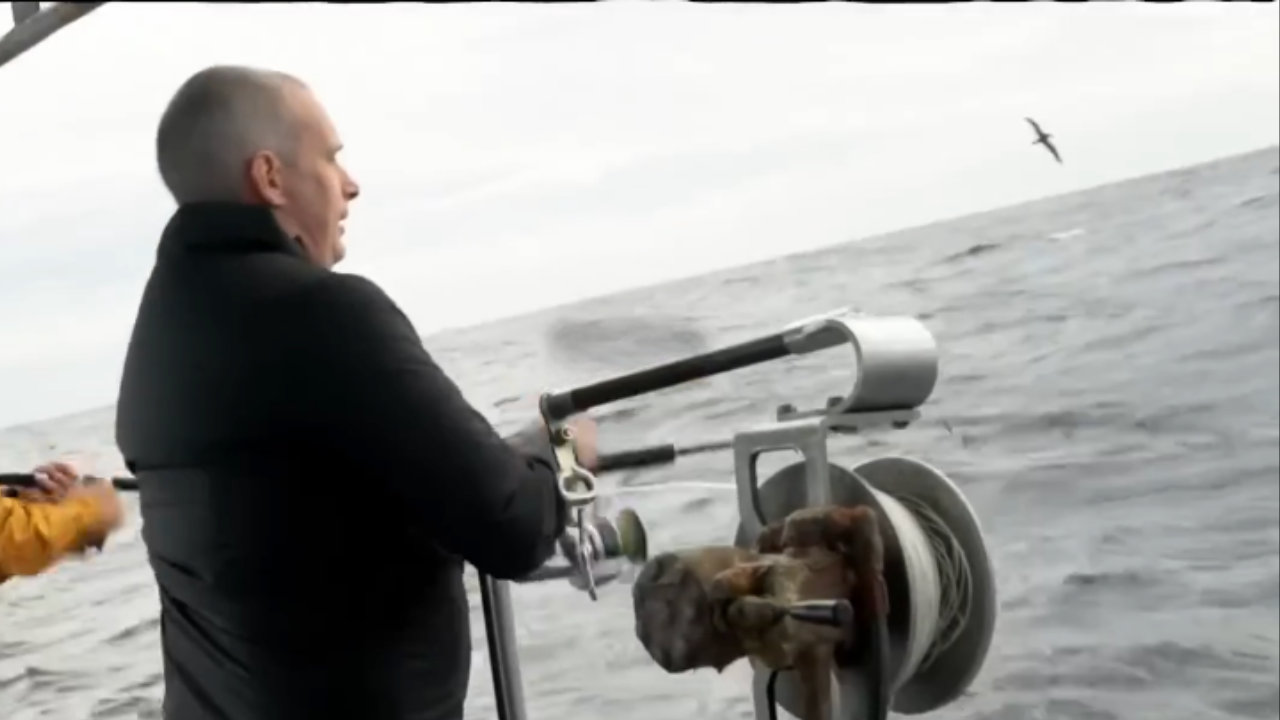 I went fishing and we cooked the catch