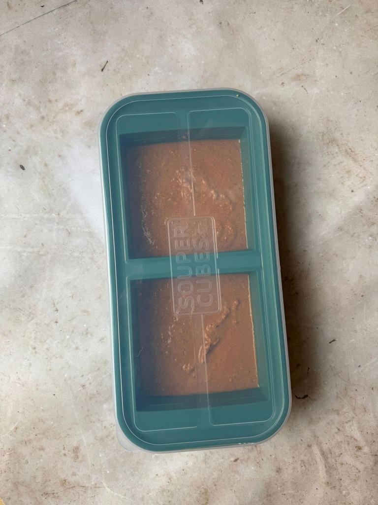 As a busy mom, this is how I use my Souper Cubes to set myself up for ...