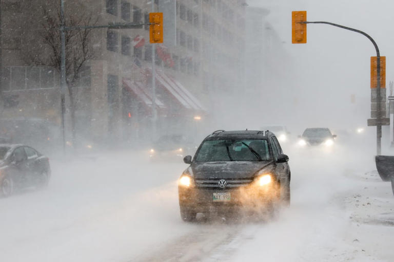 Weather warnings issued as powerful winds whip across Alberta