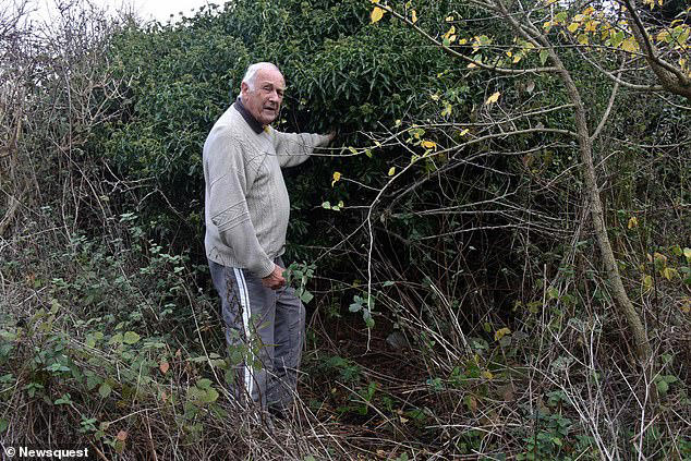 Council ridiculed for public byway which leads to impassable thicket ...