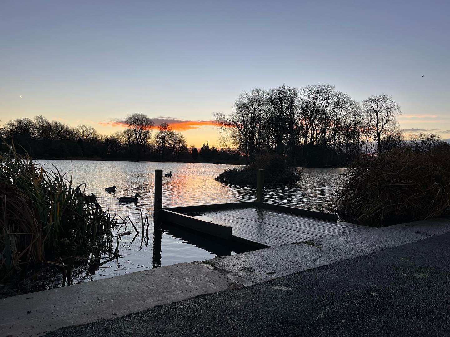 Enchanting Star Party invites locals to enjoy cosmic evening under dark ...