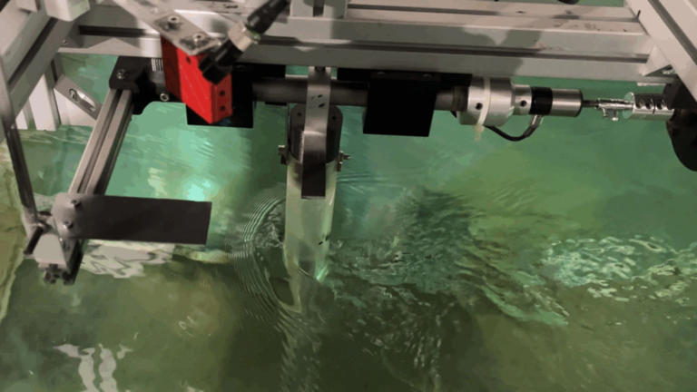 Pendulum-like cylinder could generate electricity from ocean water currents