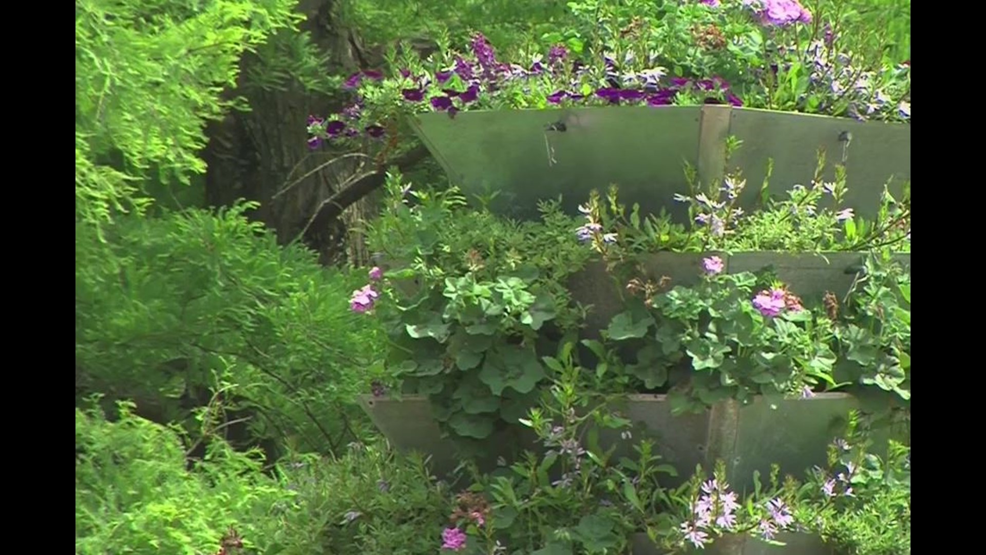 Reiman Gardens unveils 2026 theme: 'Big and small'