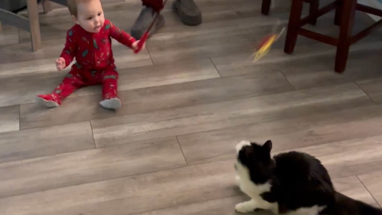 9-month-old baby wiggles a cat toy and engages with a cat