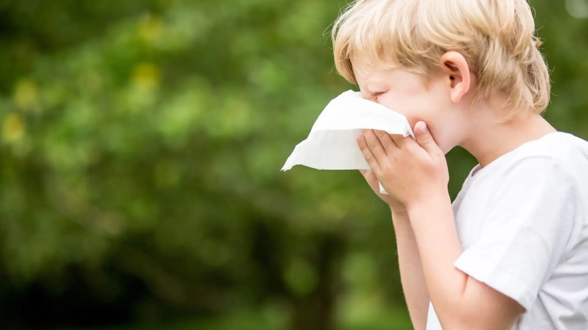 Qué es el virus respiratorio sincitial: causas, primeros síntomas y ...