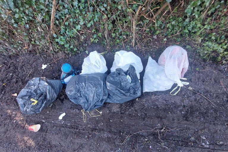 Calls for Cork fly tippers to be made to pick up rubbish after ...