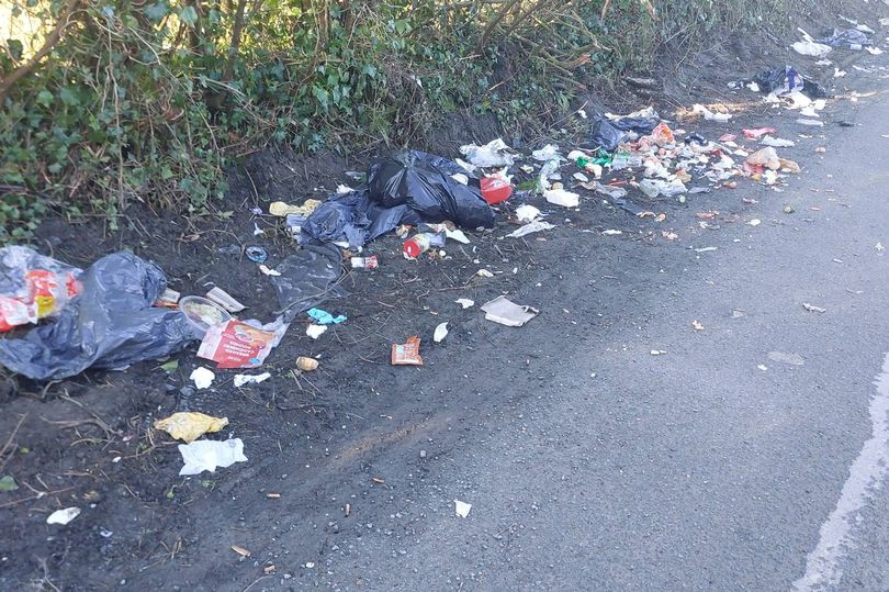 Calls for Cork fly tippers to be made to pick up rubbish after ...