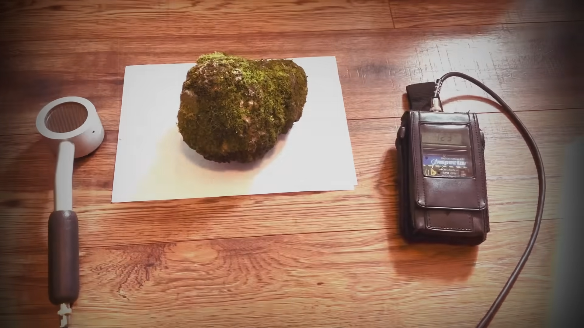 This power plug was found in a 100,000-year-old cave