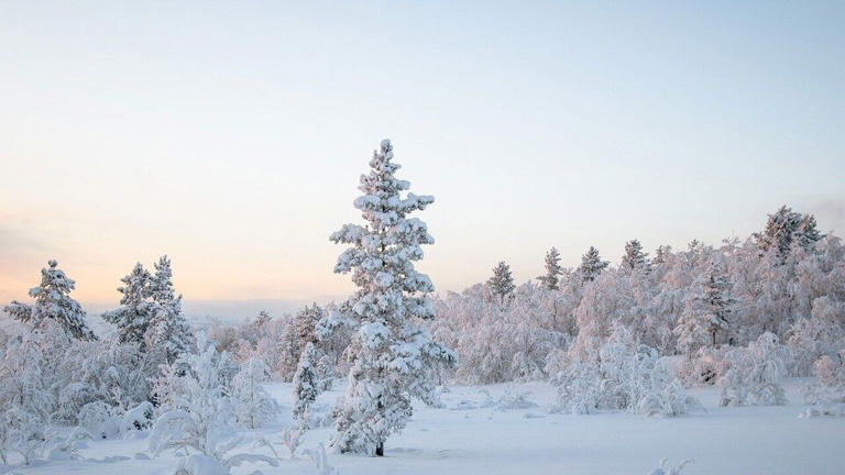 Central Florida to face freezing temperatures as powerful cold front ...