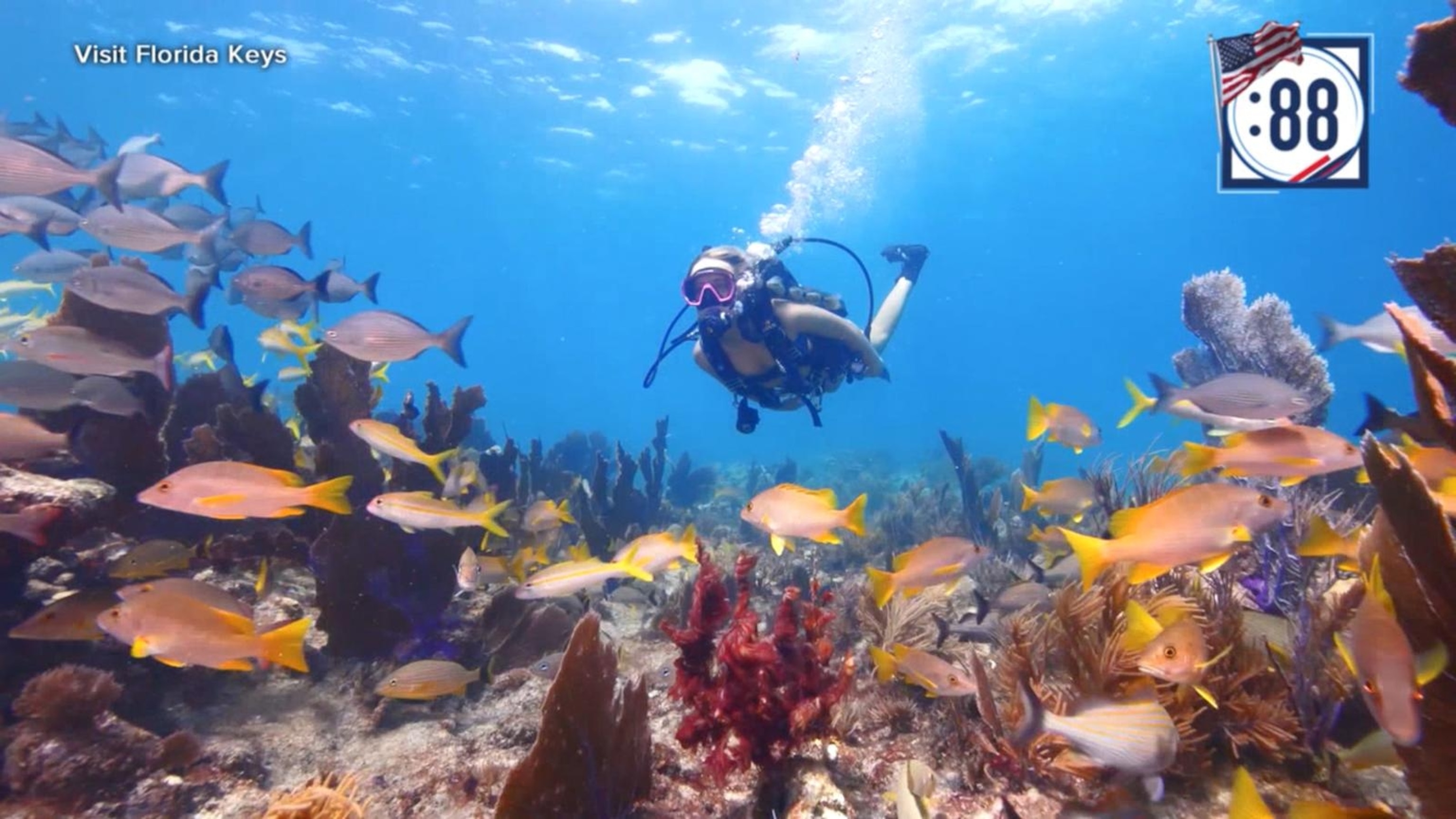 Florida in 90 seconds