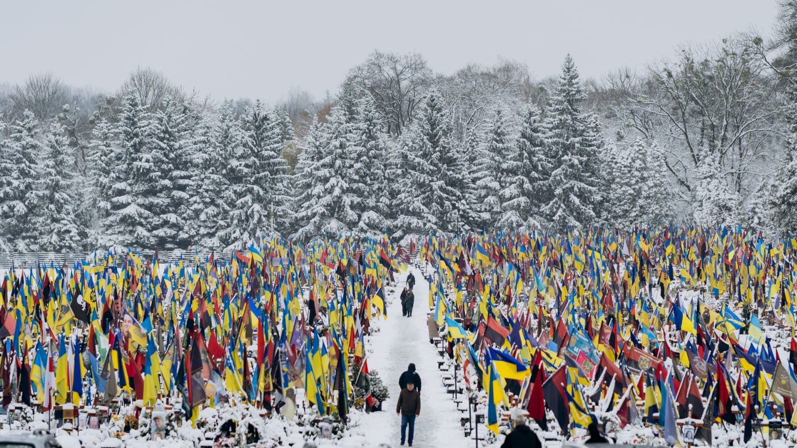 The Ukrainian war cemetery that can't stop growing