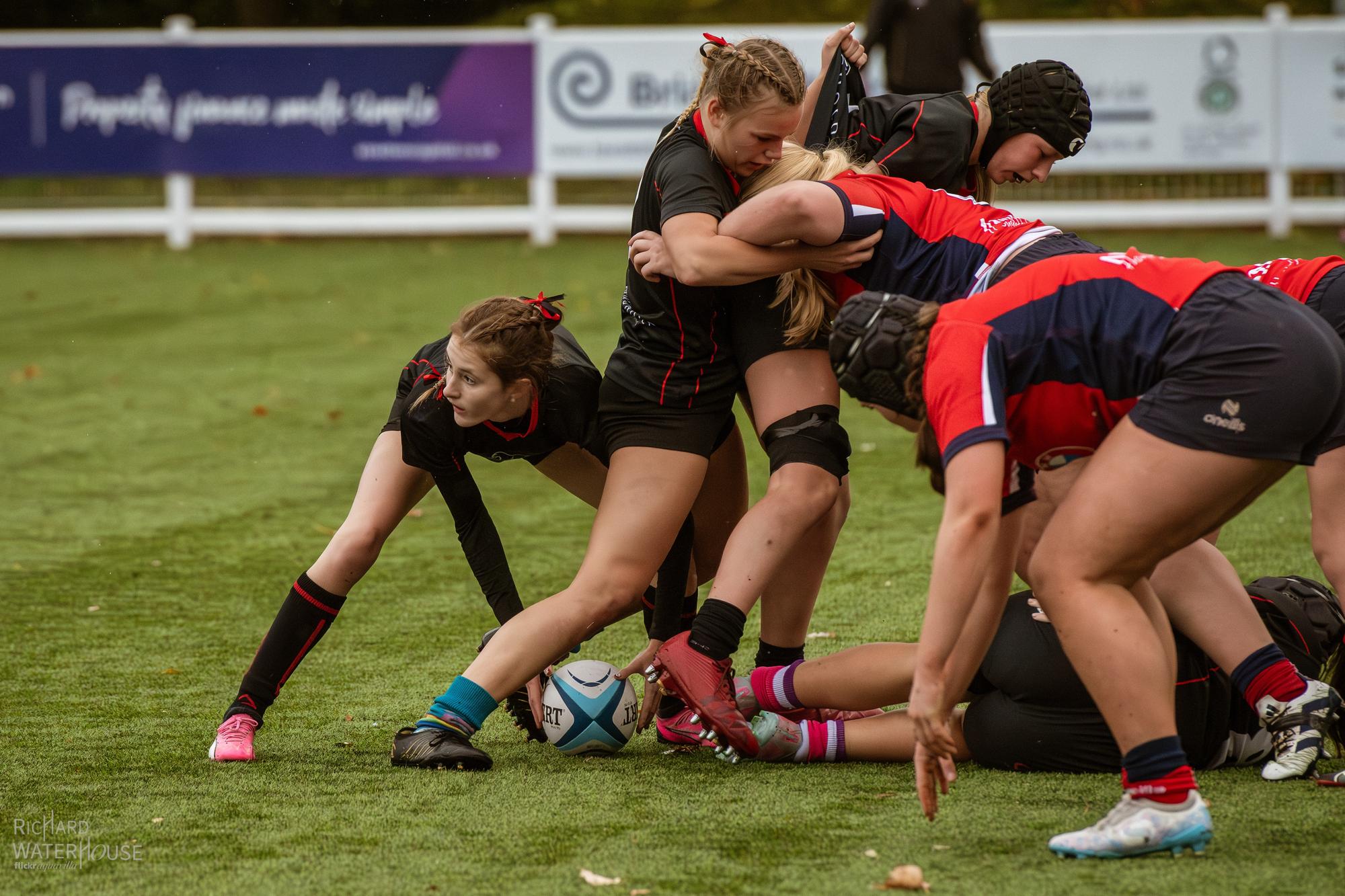Chesterfield Panthers U18 girls reach regional semi-finals in national ...