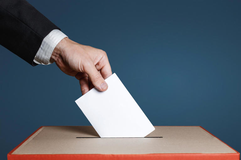 New call for all councillors to be consulted over plans to postpone May ...