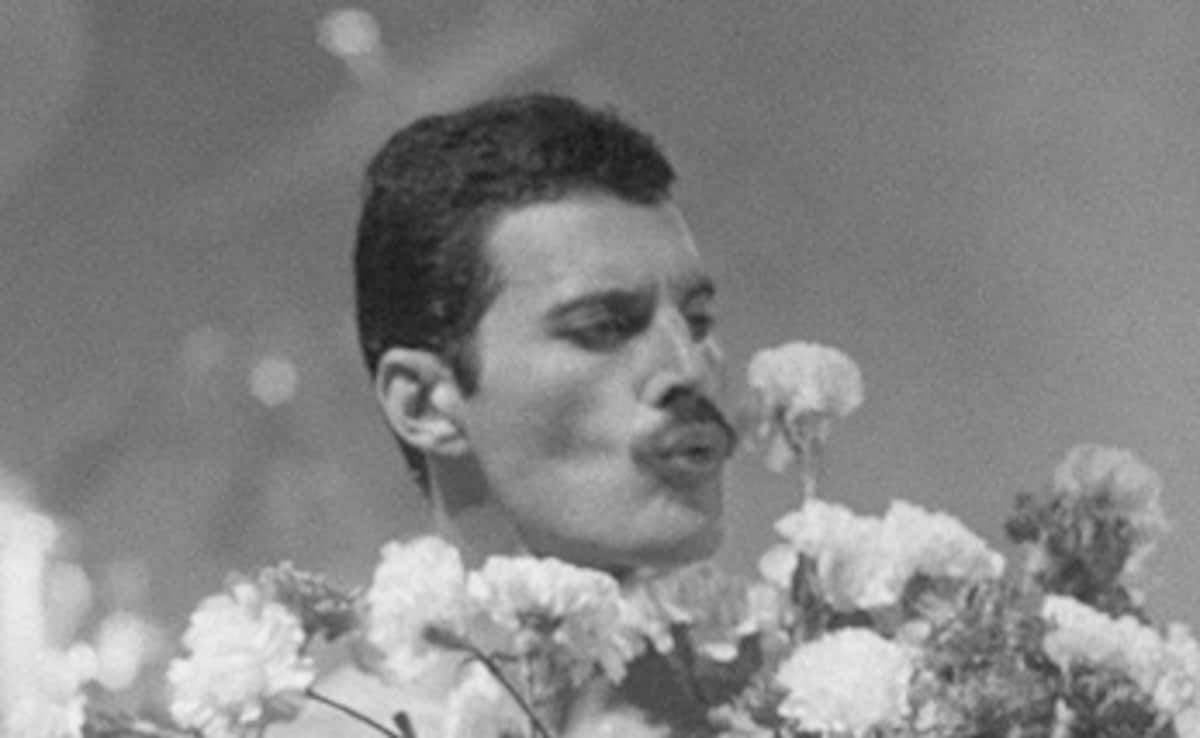 Freddie Mercury's 'secret daughter' dies aged 48 after long battle with ...